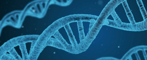 Home - Nederlandse Genealogische Vereniging